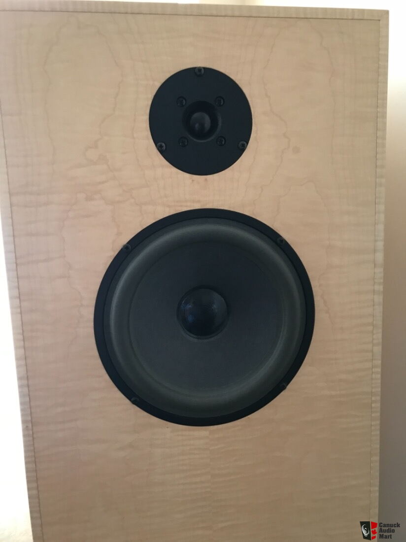 audio note AN -E SPE speakers For Trade - Canuck Audio Mart