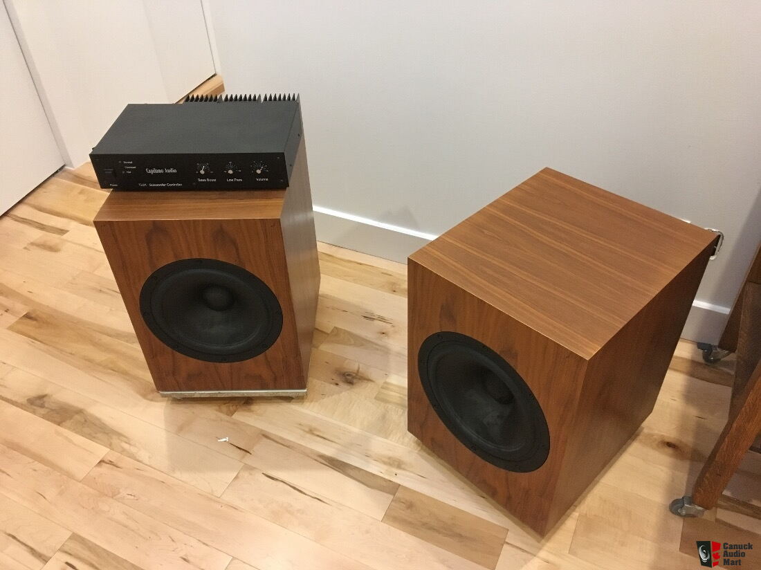 12 inch SB Acoustics passive subwoofers pair, one driver voice coil rub ...