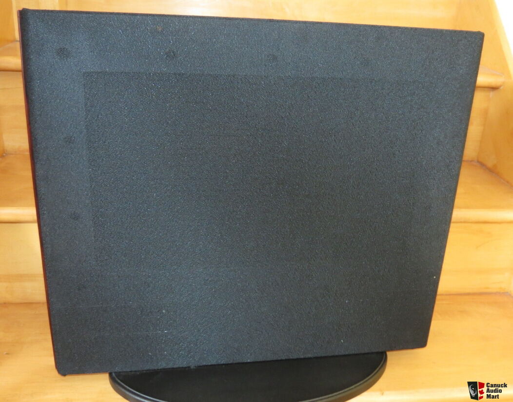 Magnepan DWM bass panel magneplanar Photo #1816811 - US Audio Mart