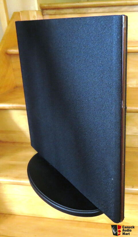 Magnepan DWM bass panel magneplanar Photo #1816810 - Canuck Audio Mart