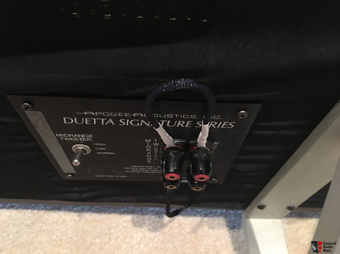 Apogee Duetta signature full range speaker Photo #1824605 - Canuck ...