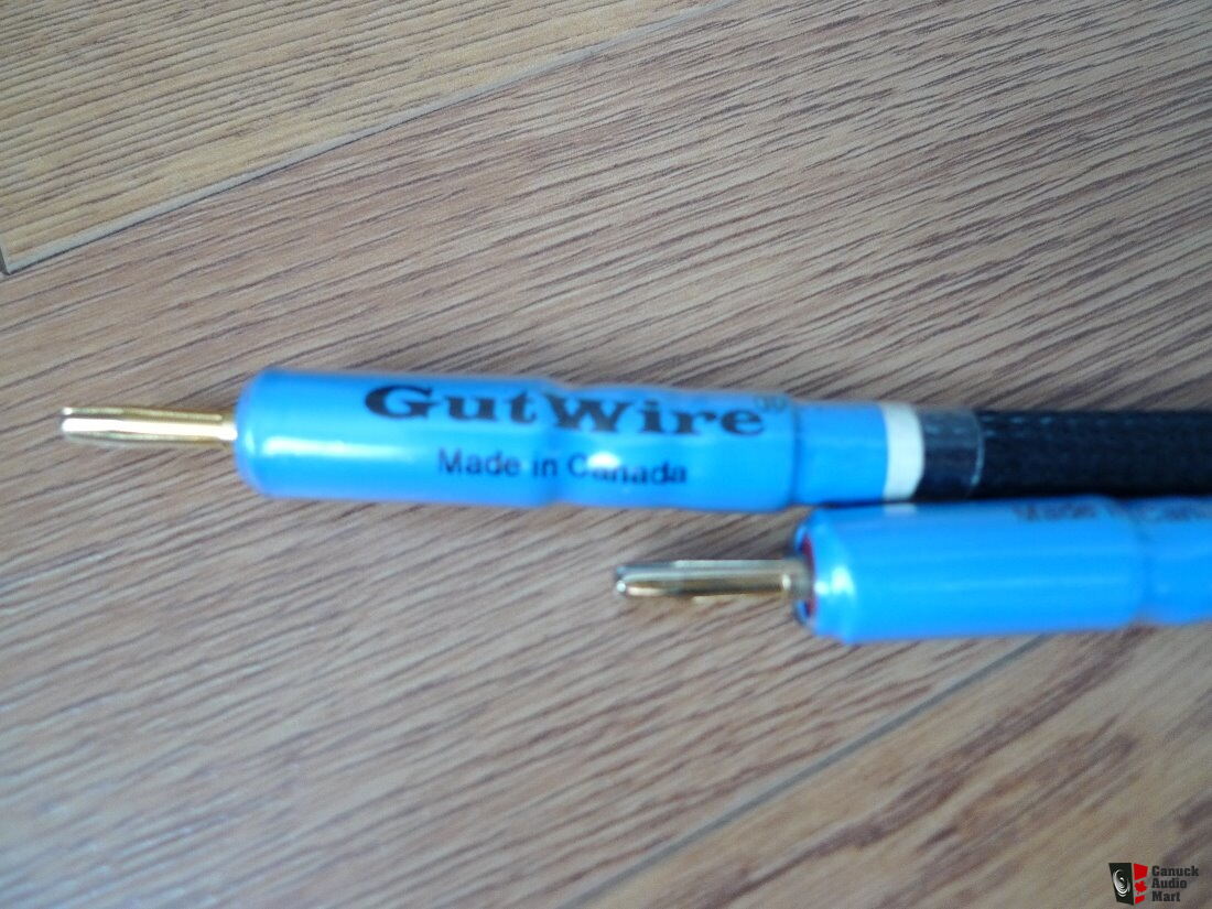 Gutwire Basic2 speaker cables 3 meters Photo #1827224 - Canuck Audio Mart