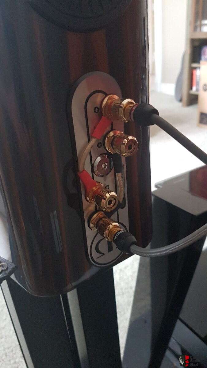 Monitor Audio Gold GX50 Photo #1830921 - Canuck Audio Mart