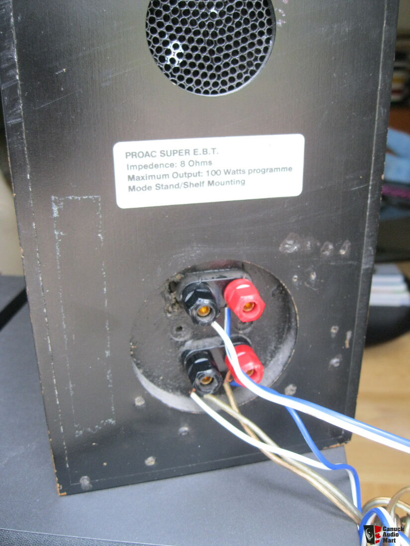 ProAc Super EBT speakers - $100 Photo #1852834 - UK Audio Mart