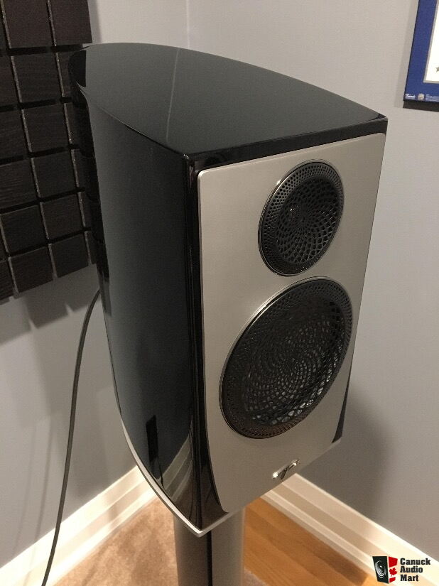 Paradigm Persona B Bookshelf speakers - Vanta Black Photo #1854901 - US ...