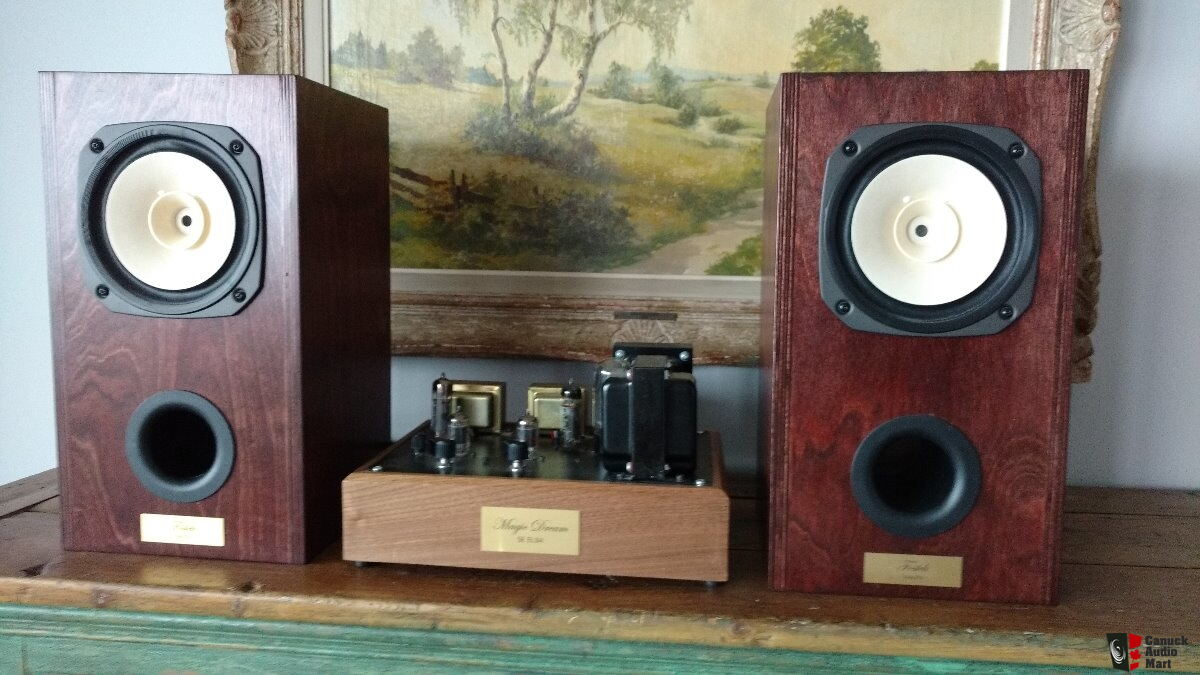 SE el 84 Amplifier Photo #1855377 - UK Audio Mart