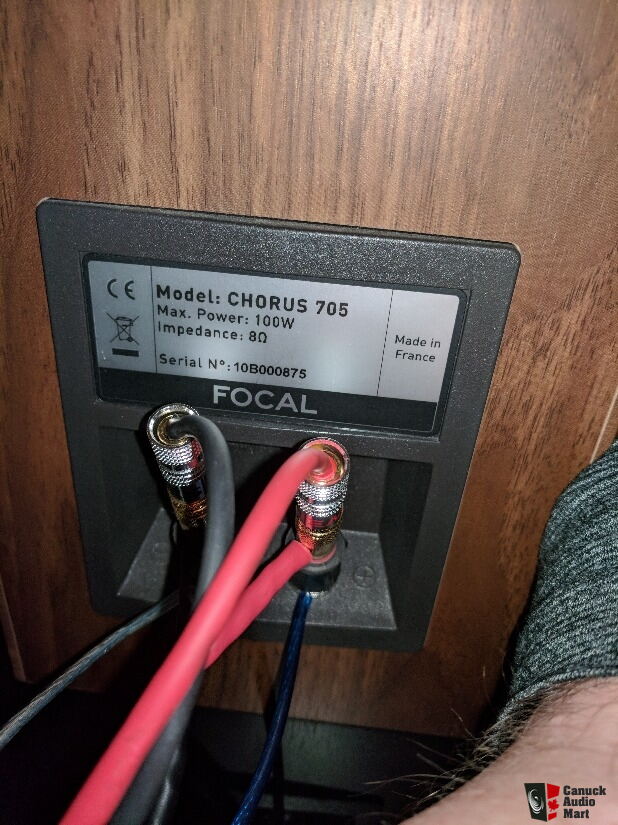 Focal Chorus 705 Photo #1861137 - UK Audio Mart