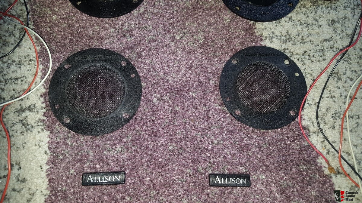 Allison CD6 Speakers (Sold PPU) Photo #1865108 - Canuck Audio Mart