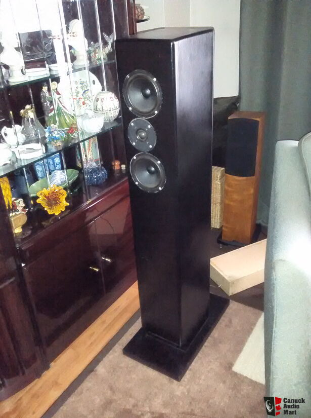 Lynn Olson Ariel Speakers, classic TL design Photo #1876358 - Canuck ...