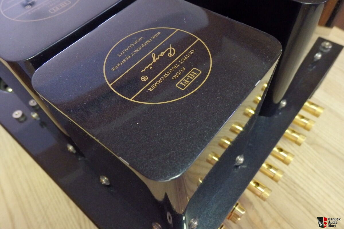 Cayin Ta 30 Tube Amp / Available / Sold to John Photo #1883267 - Canuck ...