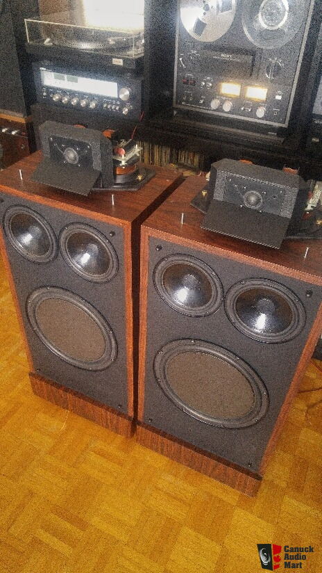 Polk audio RTA12 B Floor standing speakers Photo #1891410 - UK Audio Mart