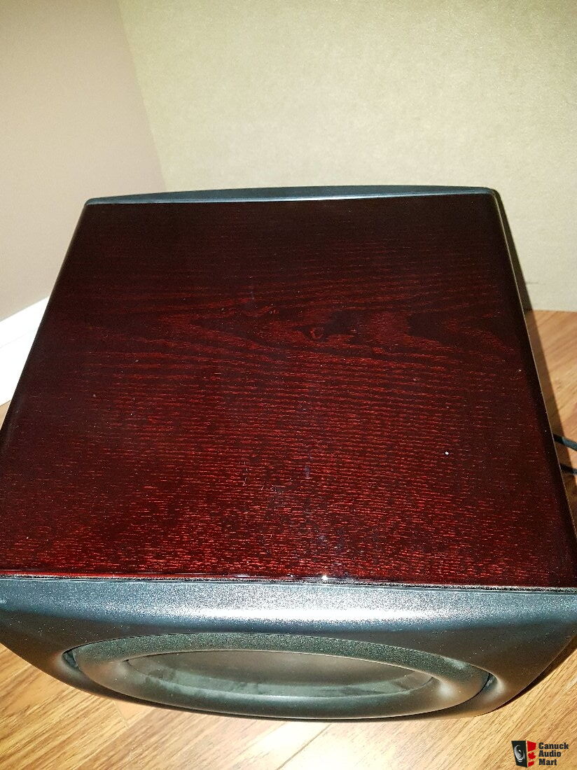 Sunfire True Subwoofer EQ Signature Duel 12 Photo #1892360 - US Audio Mart