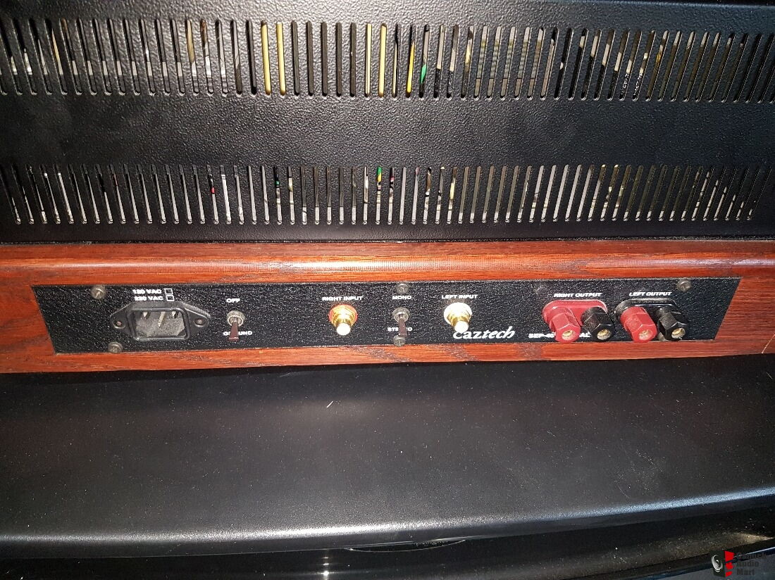 Caztech SEP 40 Photo #1898588 - US Audio Mart