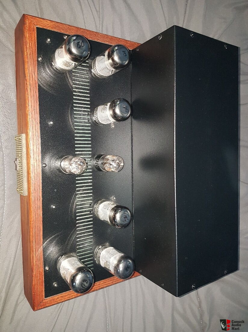 Caztech SEP 40 Photo #1898588 - US Audio Mart