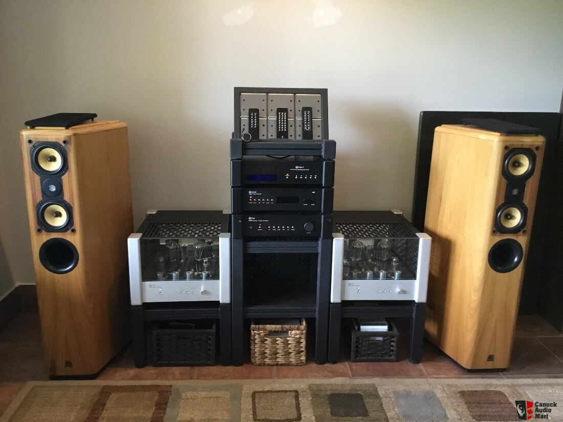 Swan Cygnus for sale - !!Price Reduced!! Asking $4500 Photo #1906962 ...