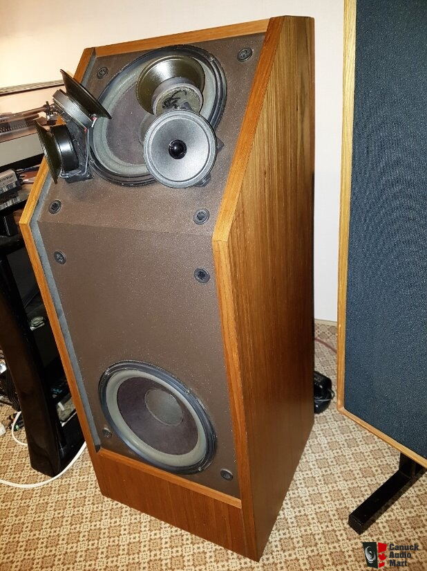 Bose 601 Series III Photo #1912721 - Aussie Audio Mart