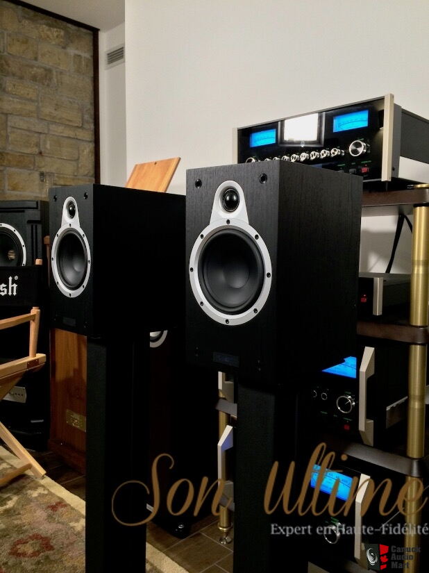 Tannoy Eclipse One Black (Demo) Photo #1915854 - UK Audio Mart