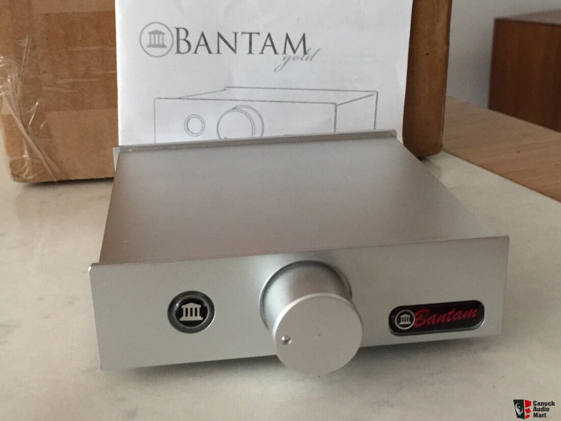 Temple Audio Bantam Gold Amplifier Photo #1927139 - UK Audio Mart