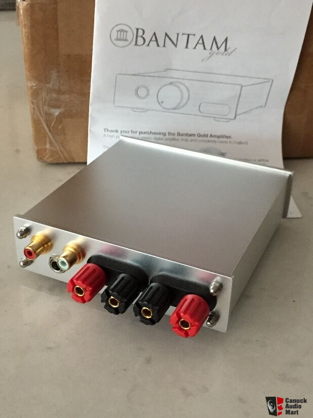Temple Audio Bantam Gold Amplifier Photo #1927139 - UK Audio Mart