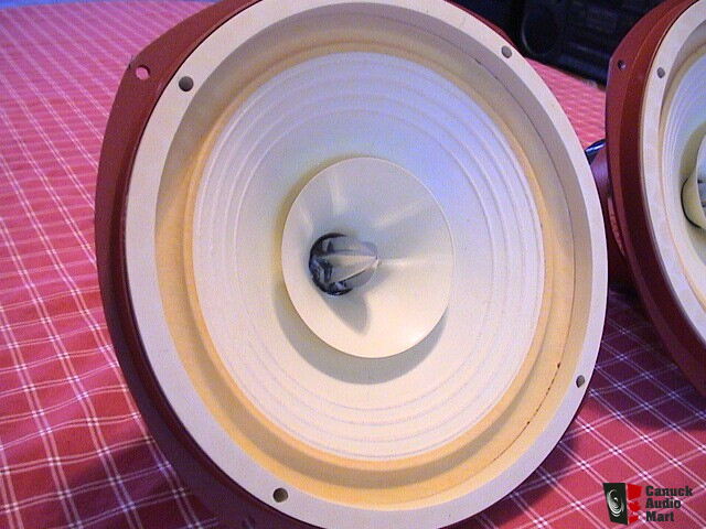 Coral Beta-10 speakers, Rare, NMINT. Photo #193017 - Canuck Audio Mart