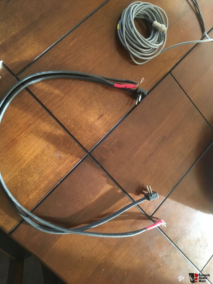 Naim cables Photo #1935746 - Canuck Audio Mart