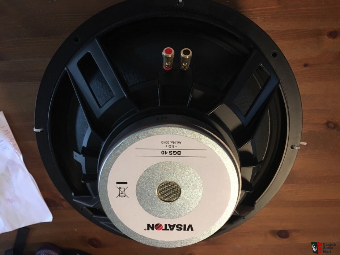 Visaton BGS 40 15 inch driver Photo #1948148 - Canuck Audio Mart