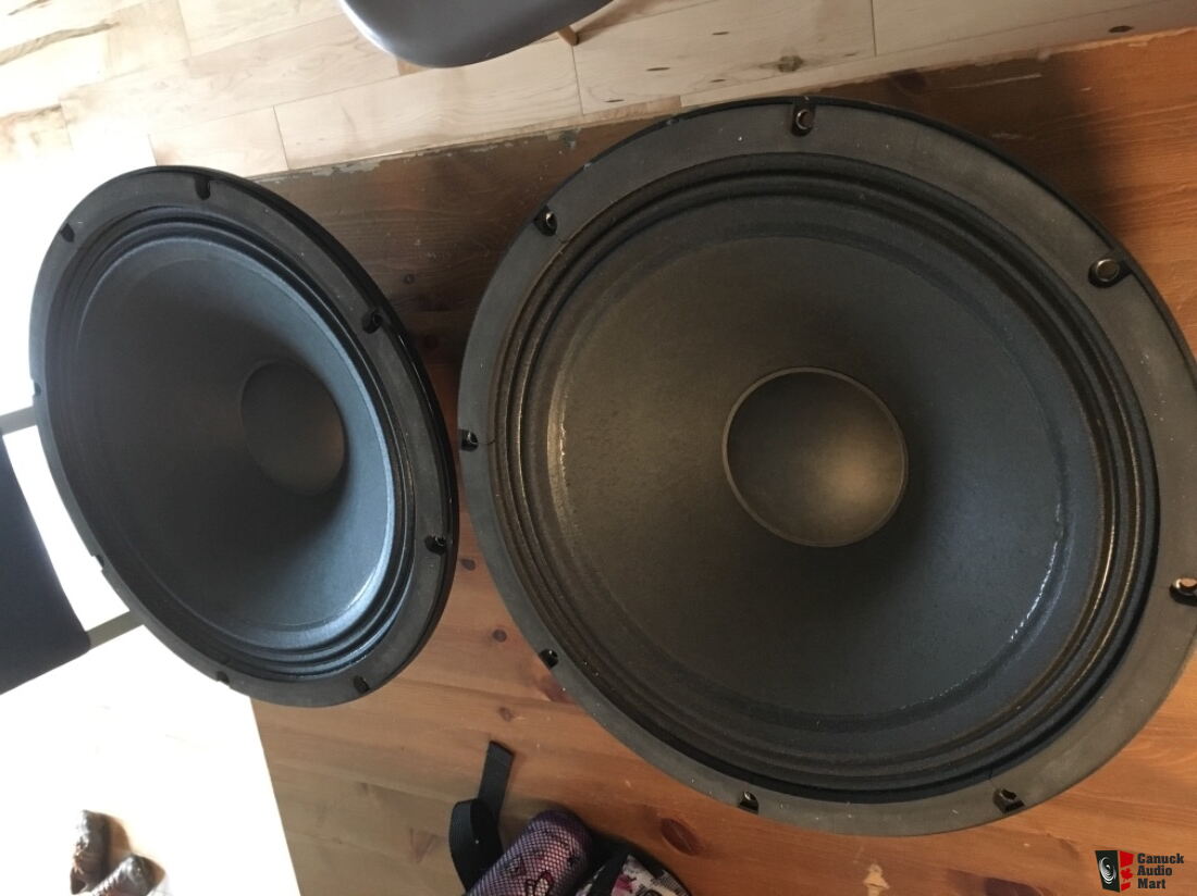 Visaton BGS 40 15 inch driver Photo #1948153 - Canuck Audio Mart