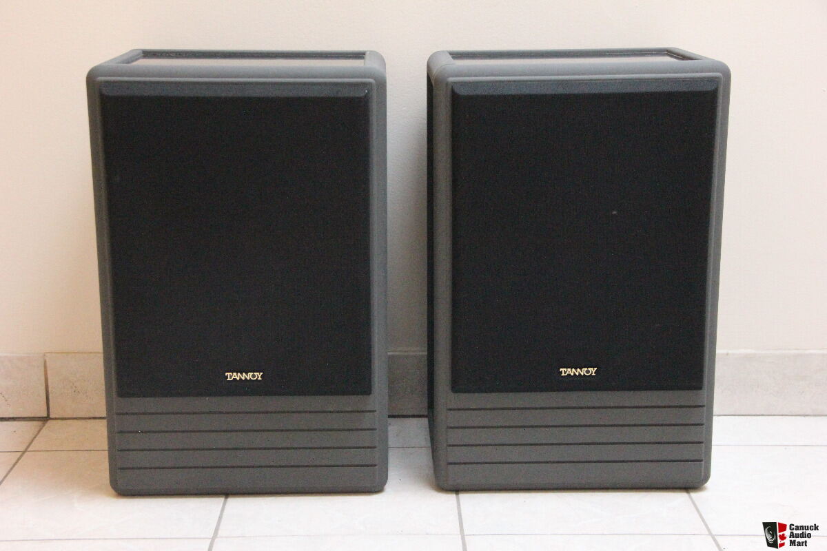 Very Clean Pair of Tannoy System 10 DMT II Photo #1978116 - Canuck ...