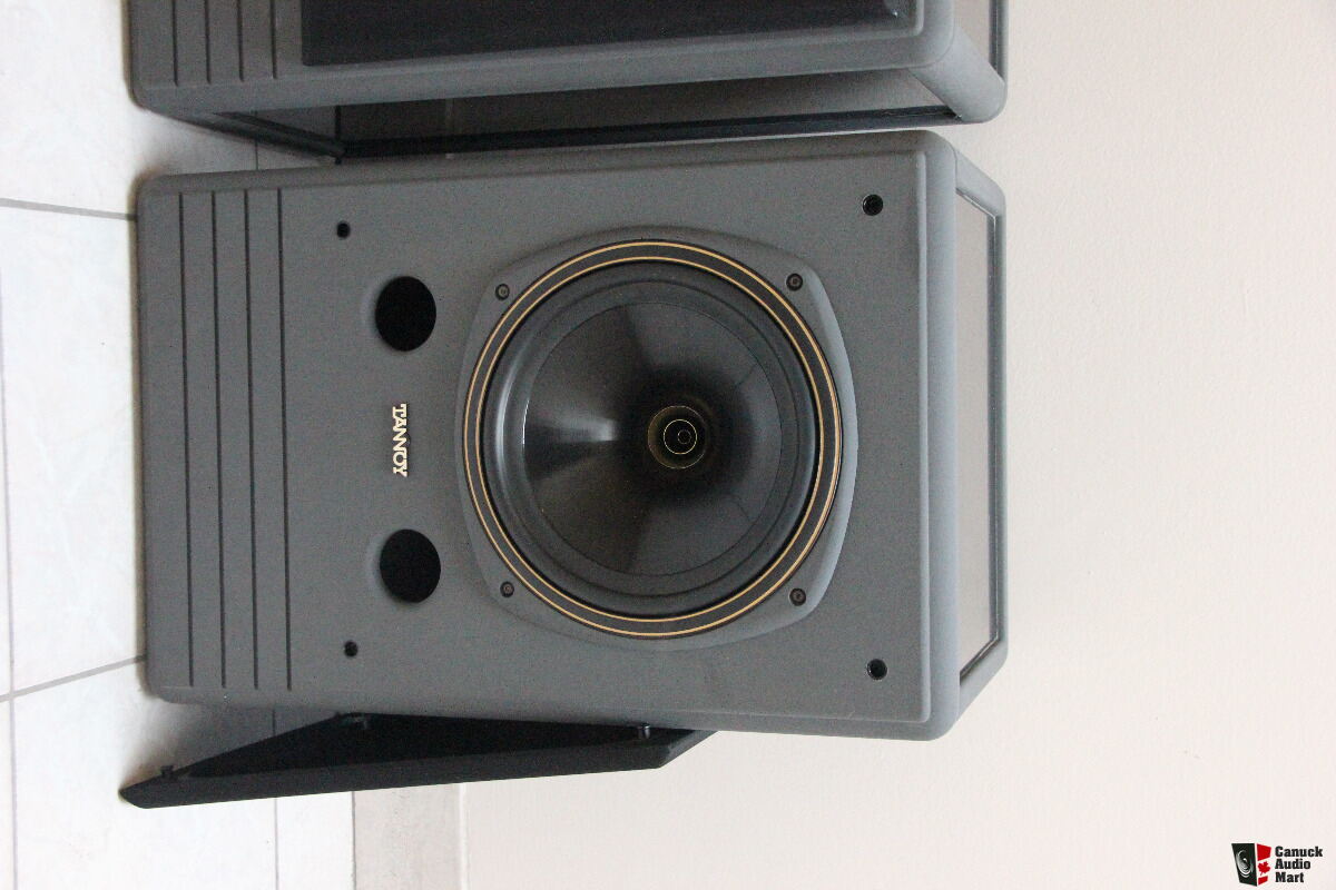 Very Clean Pair of Tannoy System 10 DMT II Photo #1978116 - Canuck ...