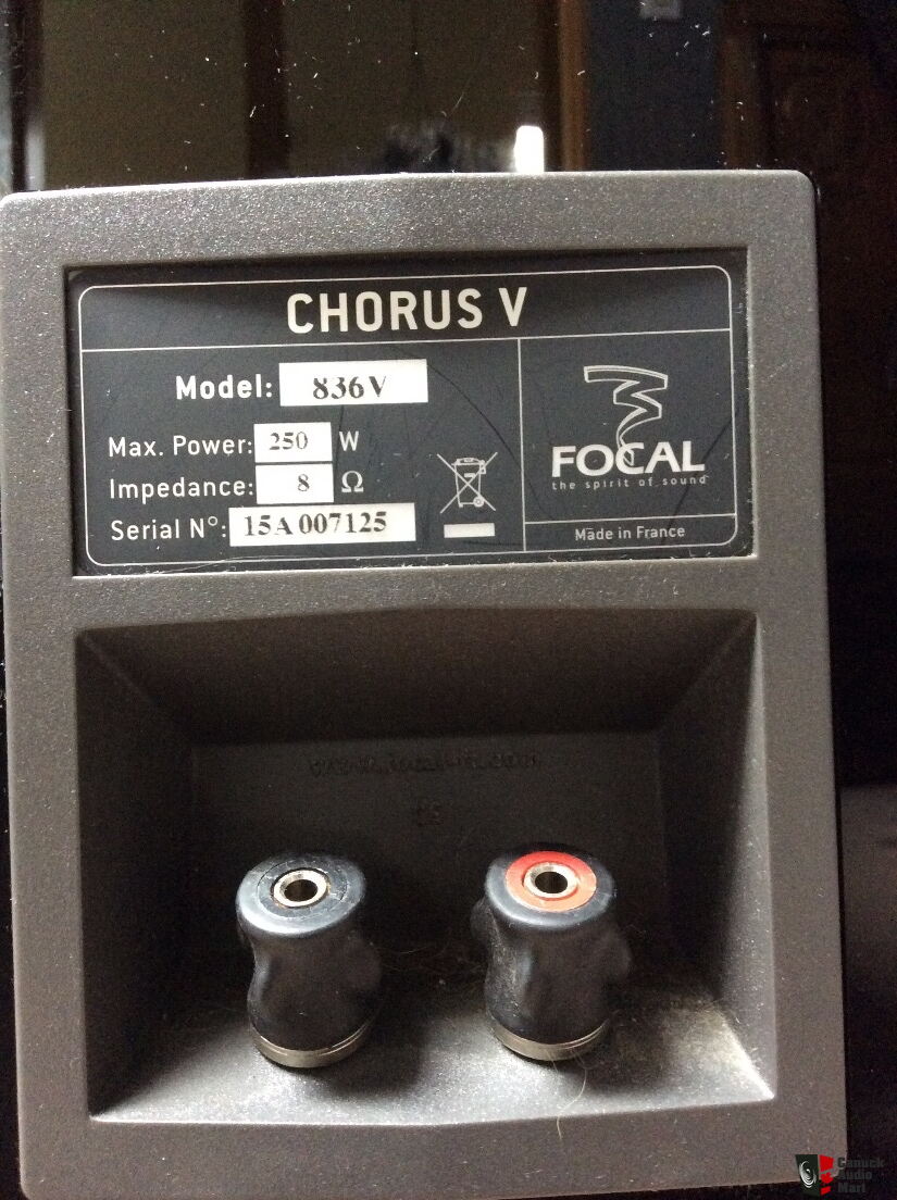 Focal Chorus 836v *open to offer Photo #1991697 - Canuck Audio Mart