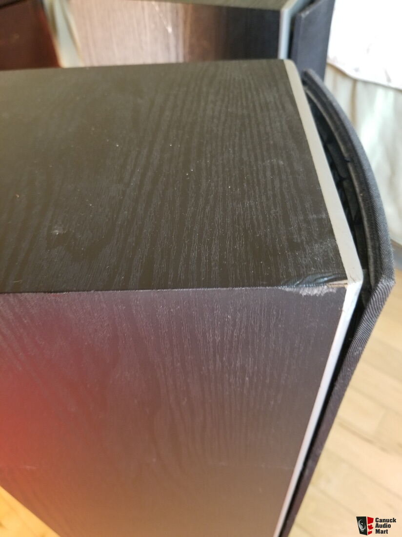 Polk audio M20 Photo #1996618 - Canuck Audio Mart