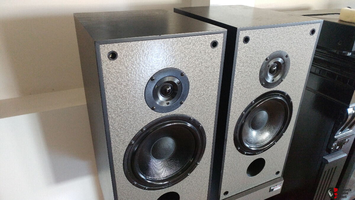 Paradigm MONITOR series consecutive seriel numbers Photo #1998494 ...