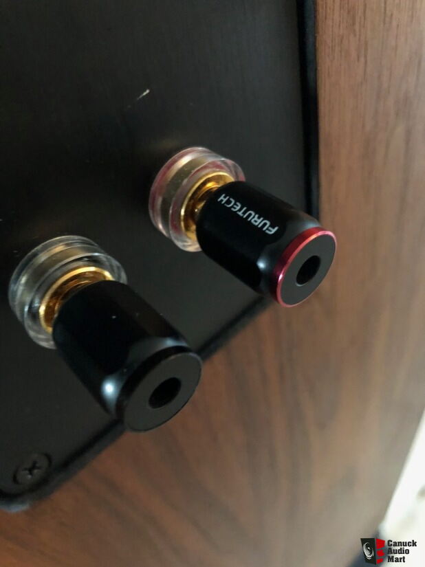 NOS Coral Beta 8" (Japan) speakers in gorgeous Russian Birch cabs ...