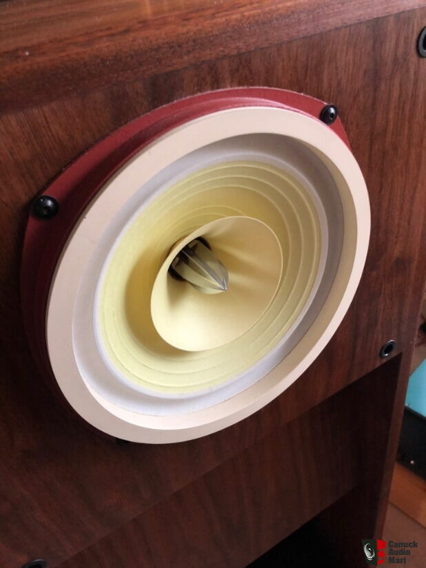 NOS Coral Beta 8" (Japan) speakers in gorgeous Russian Birch cabs ...