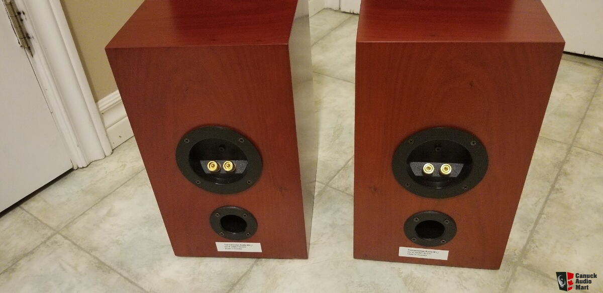 Transmission Audio M1i ribbon monitors Photo #2002980 - UK Audio Mart