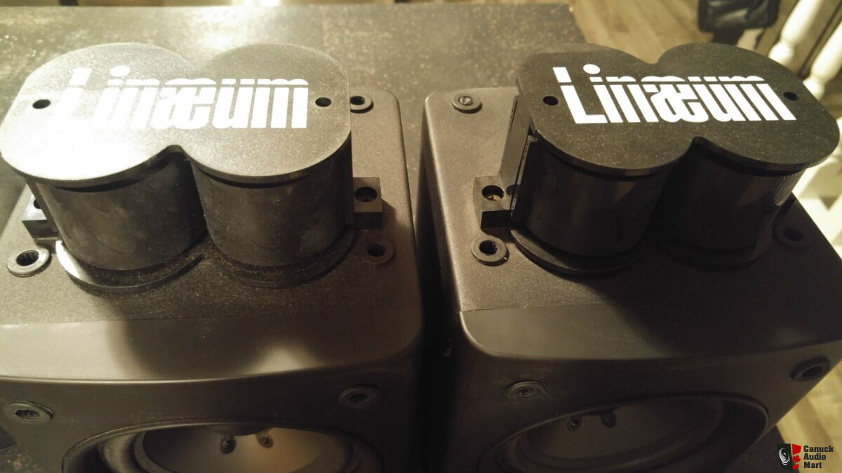 Optimus Pro LX5-ii Speakers. Linaem Tweeters ! For Sale - Canuck Audio Mart