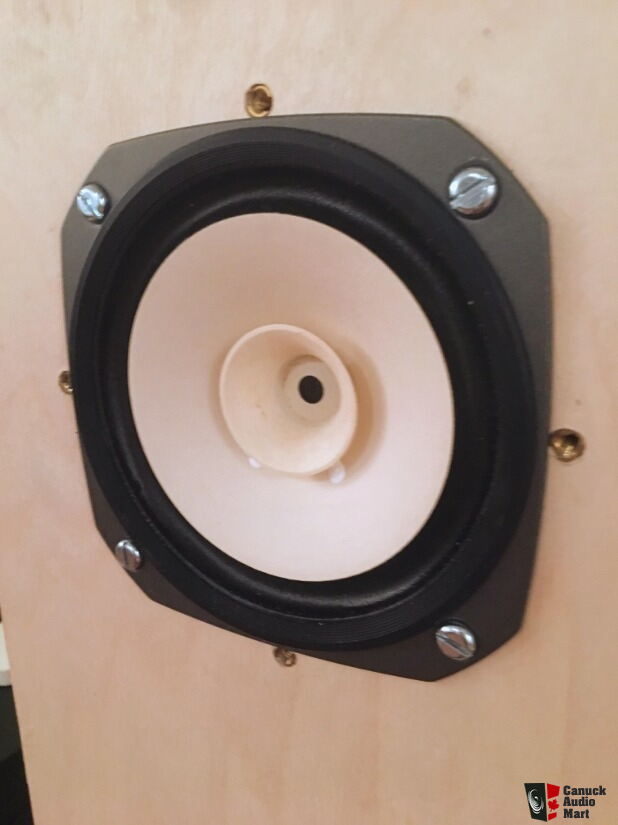 Fostex Full-Range Drivers in Back Loaded Horn Cabinets (FE166n Drivers ...