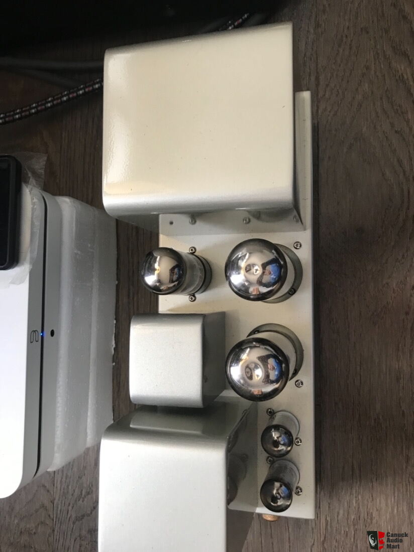 Quad II Classic monoblock power amplifier Photo #2022469 - UK Audio Mart