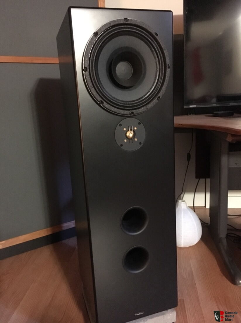 Tekton Lore Tower Speakers For Sale - Canuck Audio Mart