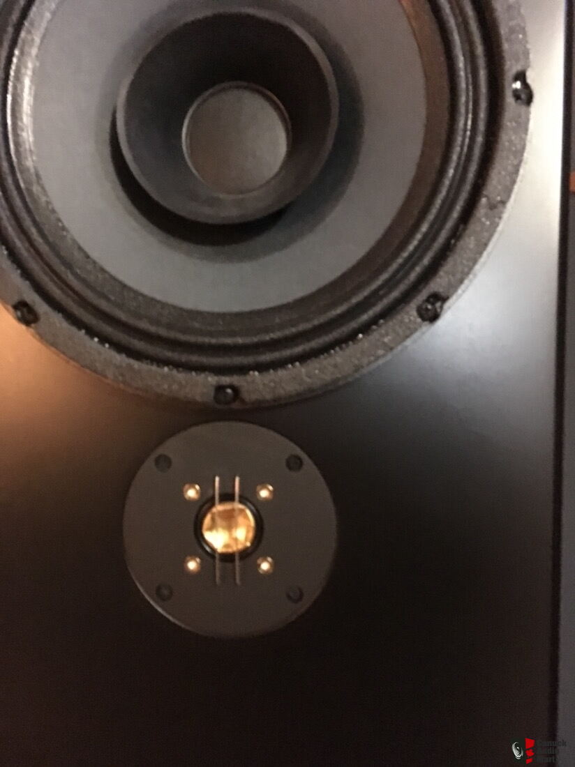 Tekton Lore Tower Speakers Photo #2031963 - US Audio Mart