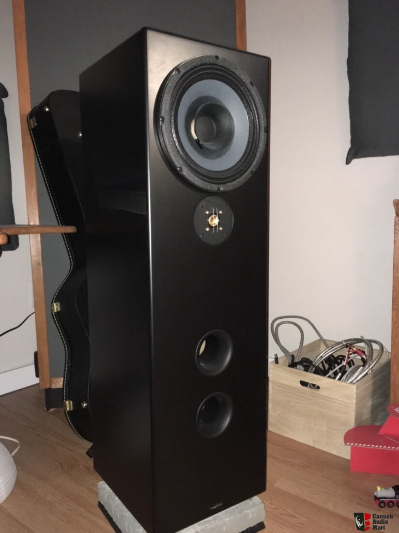 Tekton Lore Tower Speakers Photo #2031963 - US Audio Mart