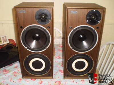 Ditton 15 XR (celestion classics) For Sale - Canuck Audio Mart