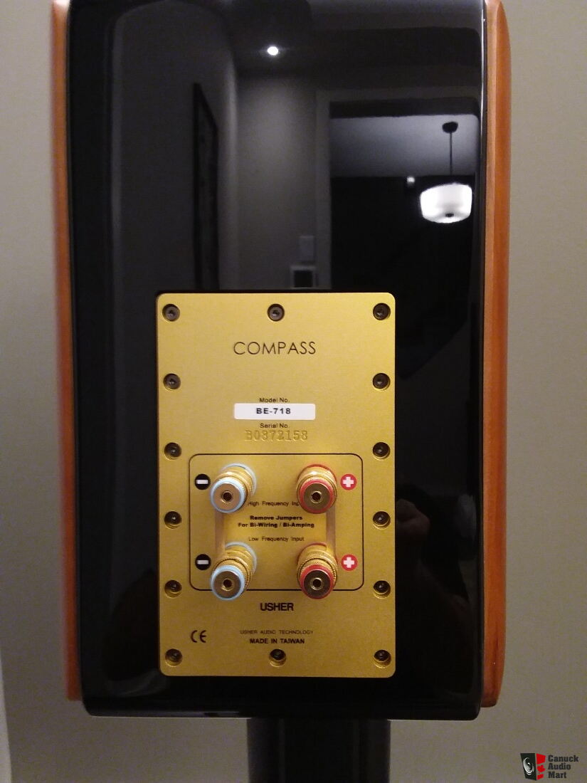 Usher BE718 DMD Diamond tweeter (Current version) **Pending sale to ...