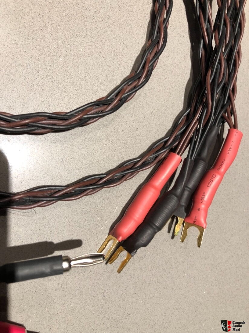 5' Kimber Kable Speaker Cables Photo #2048987 - Aussie Audio Mart