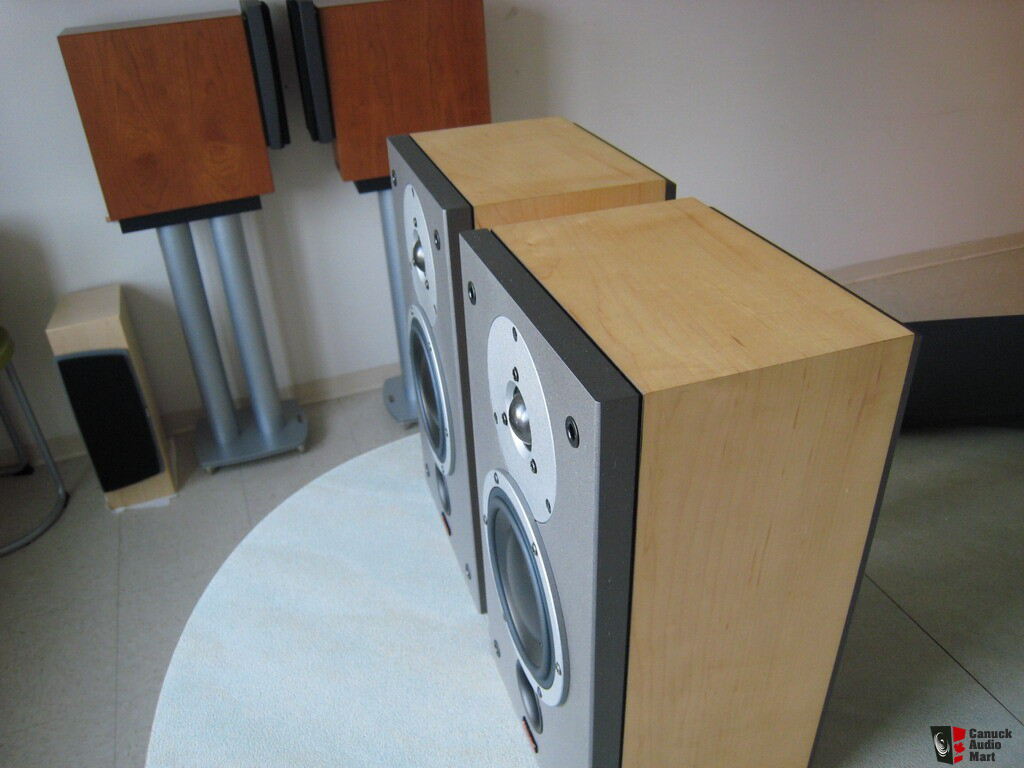 Dynaudio Audience 42W wall mount loudspeaker Photo #204913 - UK Audio Mart