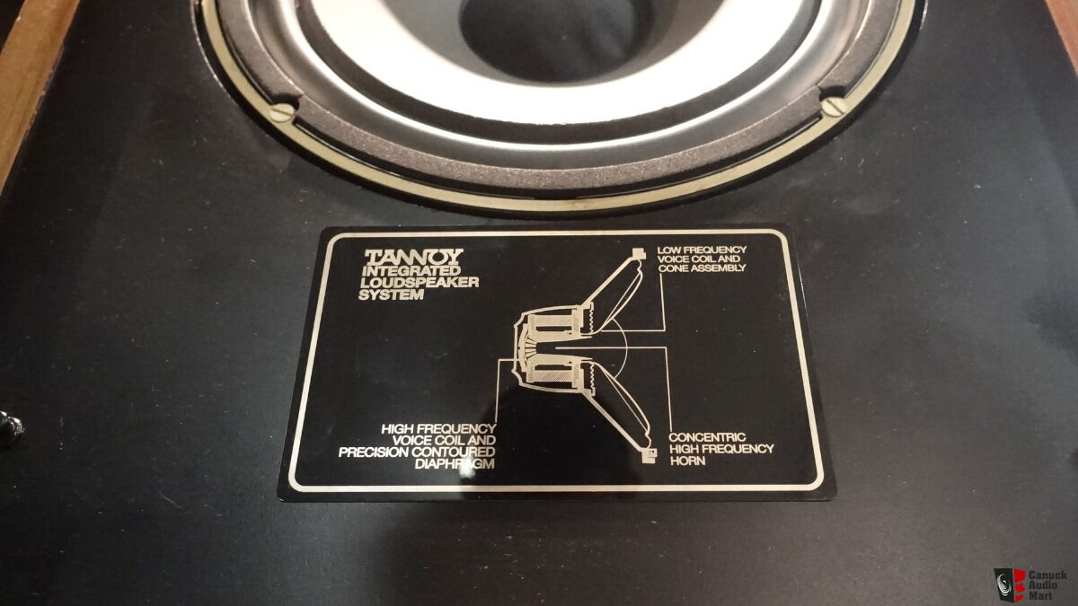 Tannoy Aluminum GOLD Laser Engraved Label Pair For Sale - Canuck Audio Mart