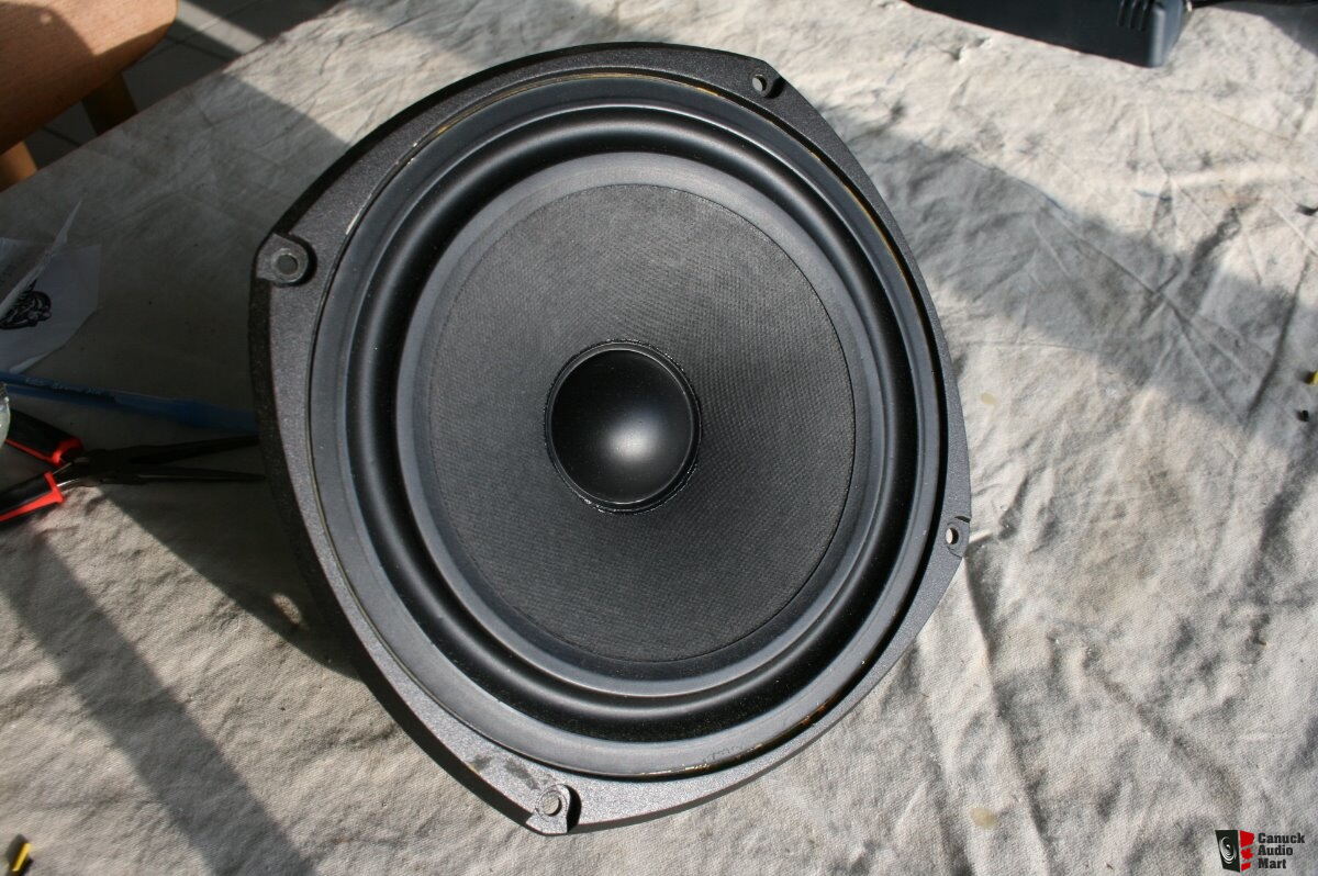 Celestion Ditton 15 Series II woofer Photo #2087888 - UK Audio Mart