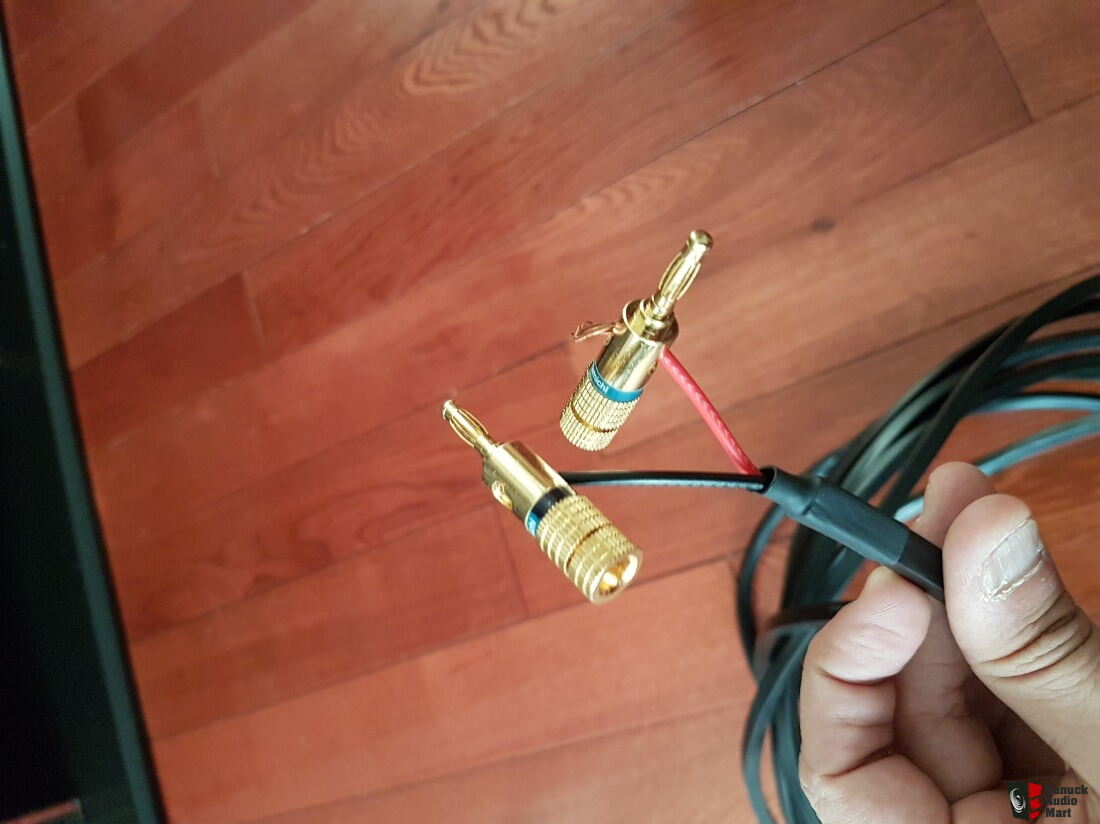 Pair of 9ft AudioQuest Q2 Speaker Cables Photo #2092547 - UK Audio Mart