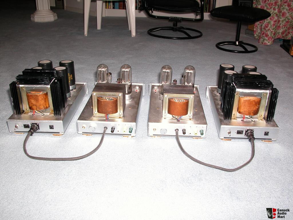 Audiophile grade custom made Triode tube Mono Blocks Photo #209736 ...