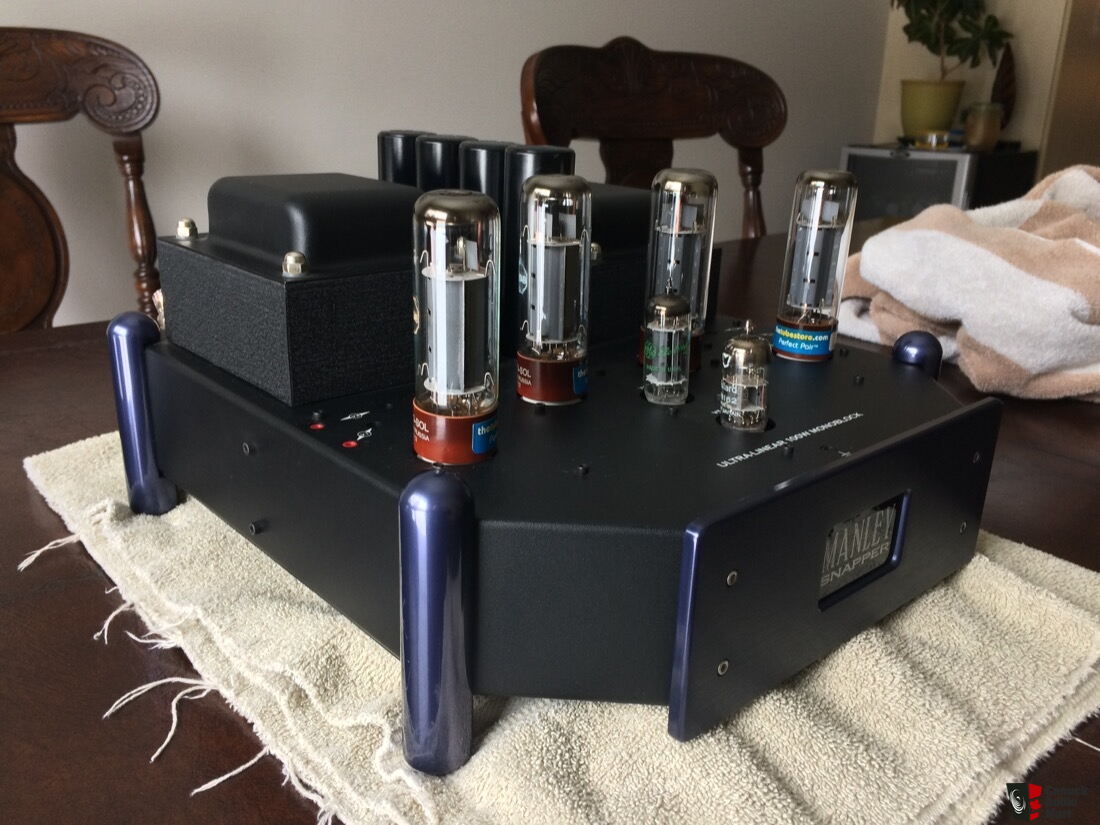 Manley Snapper Monoblock Photo #2102799 - Canuck Audio Mart